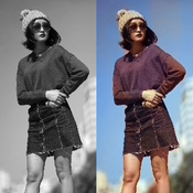 Image Colorization
