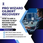 Recovery: Insights from Pro Wizard Gilbert Recovery" | GetOdata