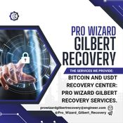 THE SUCCESS STORY OF PRO WIZARD GIlBERT RECOVERY